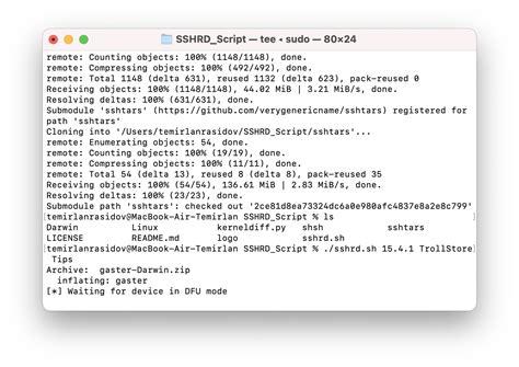 Waiting For Device In Dfu Mode A10 · Issue 218 · Opa334trollstore