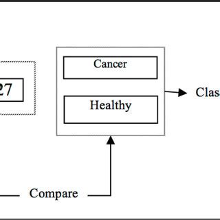 Steps In Supervised Classification Download Scientific Diagram