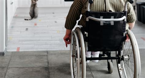 ¿qué Es La Espina Bífida Urbanfisio