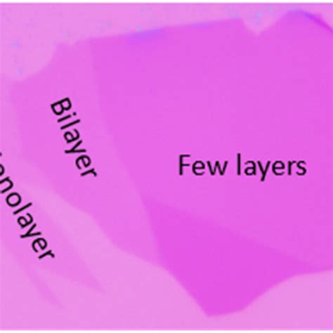 Scatter Plot Showing Similar Order For G Values Of Various Layers Of
