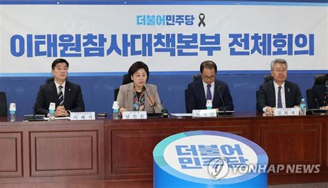 민주 이태원참사특별법 제정 박차정부·여당 협력해야 나무뉴스