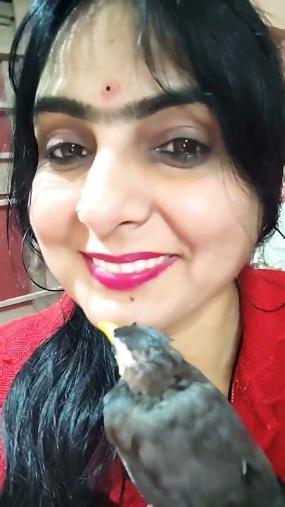 Oldsong Oldisgold Hindisong Youtubeshorts Trending Youtube