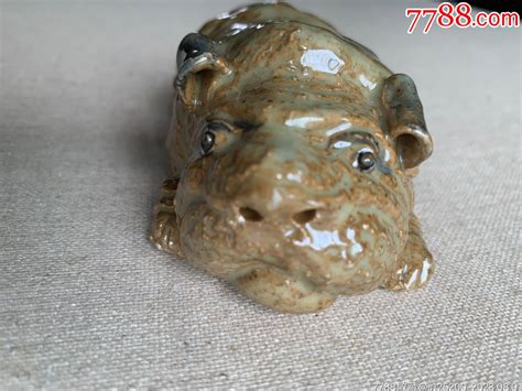 古董古玩收藏杂项近代小狗宠物茶宠 价格330元 Se95364639 灰陶 零售 7788收藏收藏热线