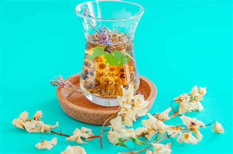 아쿠아 블루 배경에 카모마일과 재스민 꽃차 한 잔 허브 차 대체 의학 아유르베다 아로마 테라피 공간을 복사합니다 0명에 대한 스톡 사진 및 기타 이미지 Istock