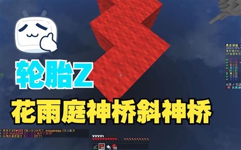 Z Z Z