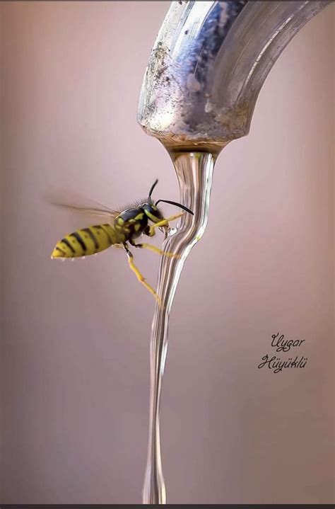 Abdullah Sujee Transformation Through Education