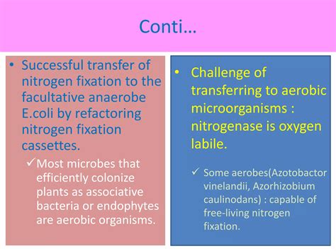 Nitrogen Fixation In Legumes And Cereal Crops Pptx