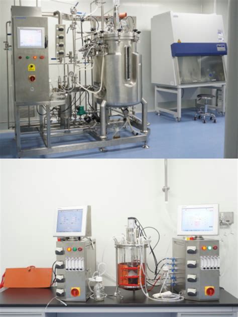 Bioreactor China Biological Fermenter And Vaccine Production Facilities