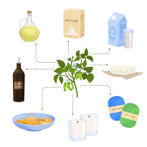 Premium Vector Technical Plants Flat Set With Isolated Images Of Food