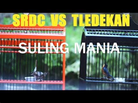 SRDC Vs Tledekan Gunung Raja Suling YouTube