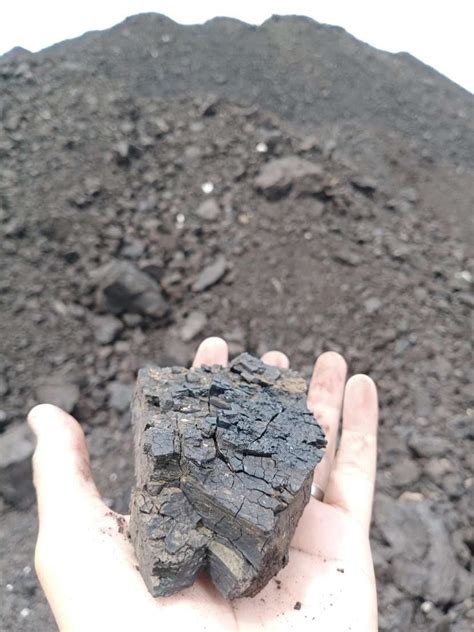 Utario Putra On Linkedin Coal Energy Transport Environment