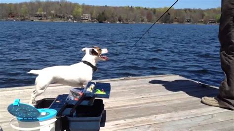 Fishing With Lilly Youtube