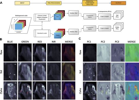 Spectral Principal Component Analysis Spca Workflow A—spca