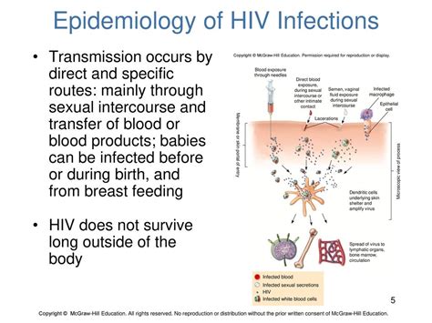 The RNA Viruses That Infect Humans Ppt Download