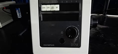 奥林巴斯ix73荧光显微镜 综合科研仪器共享中心