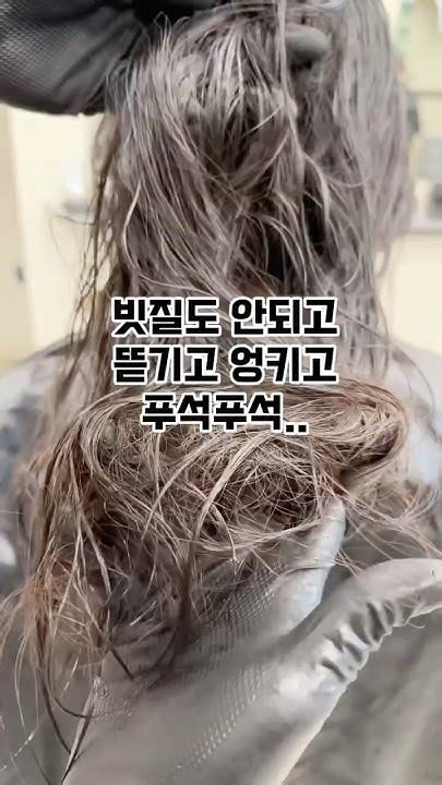 곱슬머리 방치하면 어떻게 될까 내머리 이게맞아 Youtube