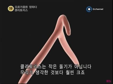 오르가즘을 말하다 클리토리스 후방주의 꾸르