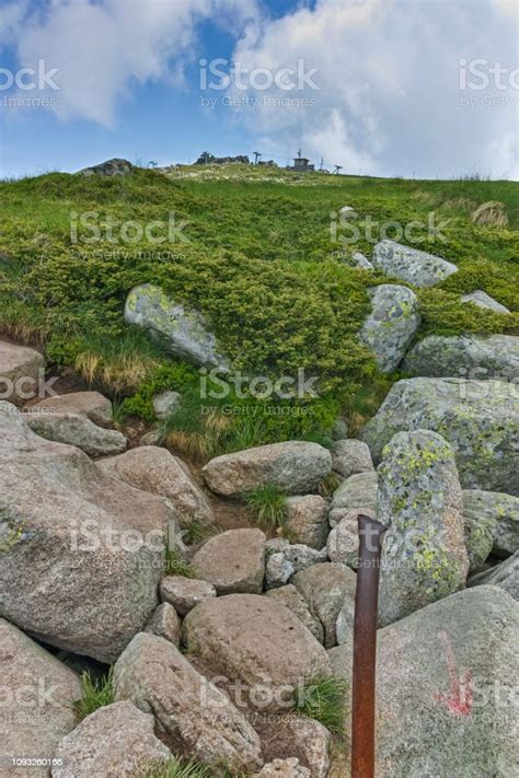 Vitosha 산 소피아 시 지역 불가리아에서 Cherni Vrah 피크에 대 한 여름 풍경에서 하이킹 트레일 0명에 대한 스톡