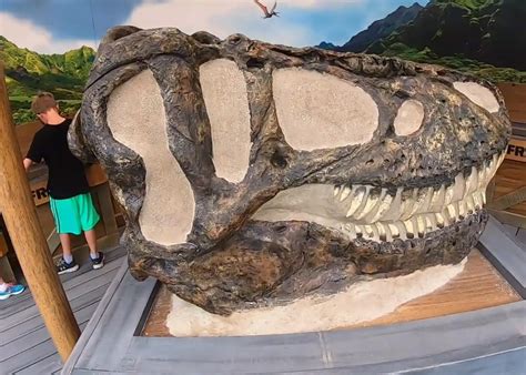 Jurassic World The Ride Dino Play Area Scenario Global