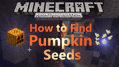 How Do I Plant Pumpkin Seeds In Minecraft At Nora Weeks Blog