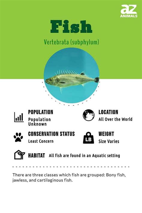Easy Tips To Make Fish Taste Less Fishy 2023 Atonce