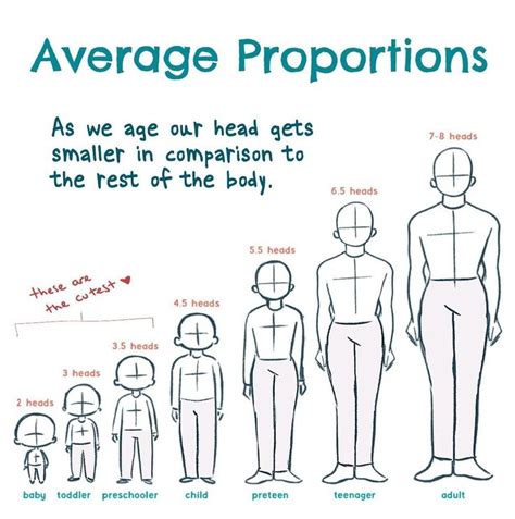 Proportion Tips Drawing Height Proportions Age Proportions Drawing