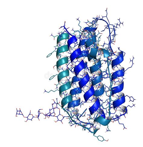 Interferon Beta Molecule Chemical Structure Cytokine Used To T Stock Illustration