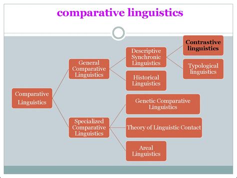 Lecture 1 The Subject Matter Of The Contrastive Lexicology Of English