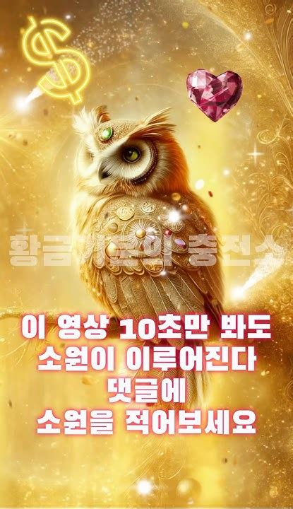 10초만 봐도 소원을 이뤄주는 마법의 부엉이 🦉 Youtube