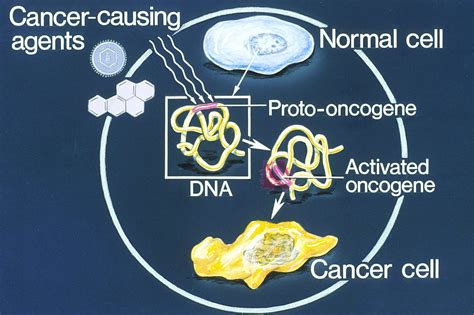 30 Facts About Sex Linked Traits