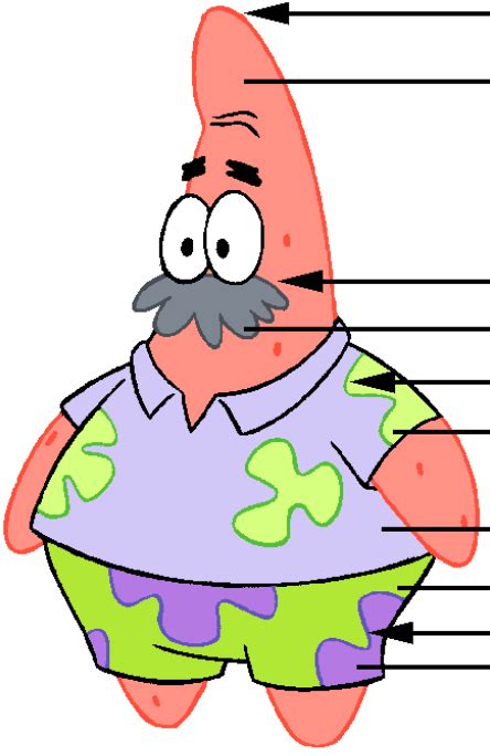 Herb Star Encyclopedia Spongebobia Fandom