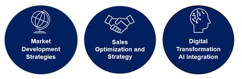 Rise Above Harnessing Strength And Innovation Md Consulting