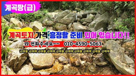 ★명암계곡토지 앞엔계곡 뒤엔 군유림 고즈넉한 산골짜기 계곡접한토지 389p 전원주택 세컨 요양 체류형쉼터 ※참고200p씩분할