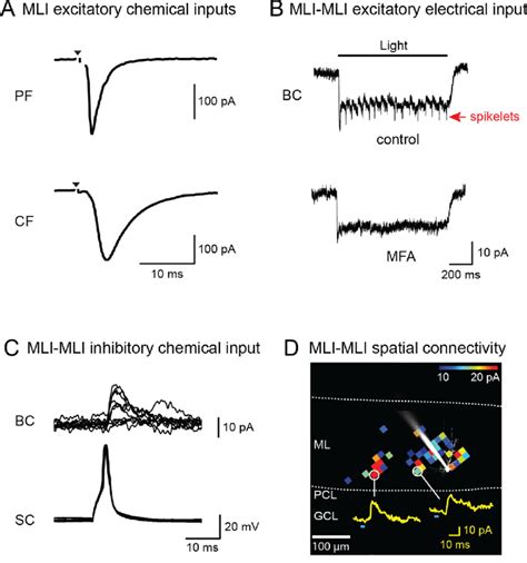 MLI Inputs And MLI MLI Circuit Organization A Examples Of MLI Download Scientific Diagram