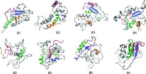 Probable β motif and the α helical regions have been traced in each of