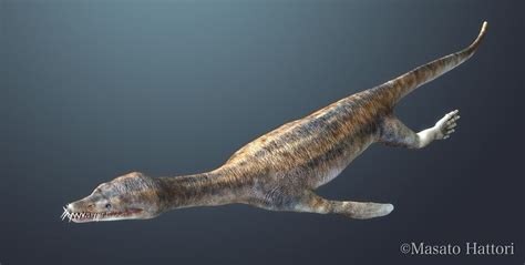 Lariosaurus Alchetron The Free Social Encyclopedia