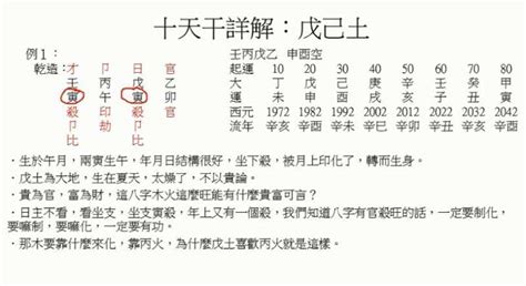 盲派八字教学视频十天干详解戊己土 教育 兴趣学习 好看视频