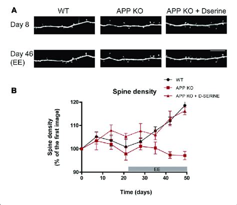 Stimulation Induced Synaptic Plasticity Is Deficient In App Knockout