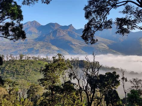 Best Munnar Resort For A Memorable Escape In Kerala