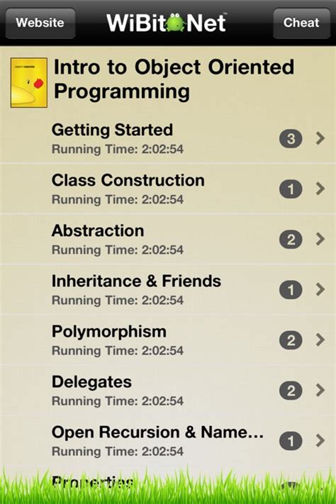 Object Oriented Programming By WiBit Net
