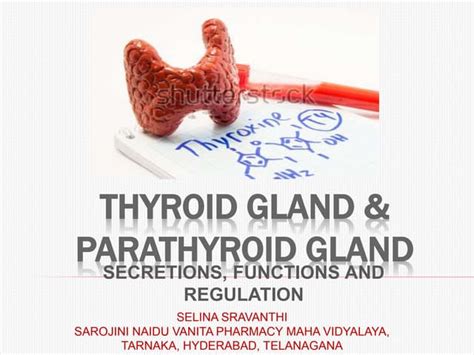 Thyroid And Parathyroid Pptx