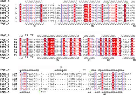 Structure Based Multiple Sequence Alignment Atomic Coordinates Of