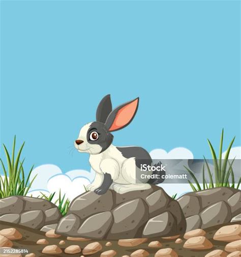 야외에서 바위에 앉아있는 토끼의 그림 가축에 대한 스톡 벡터 아트 및 기타 이미지 가축 경관 구름 Istock