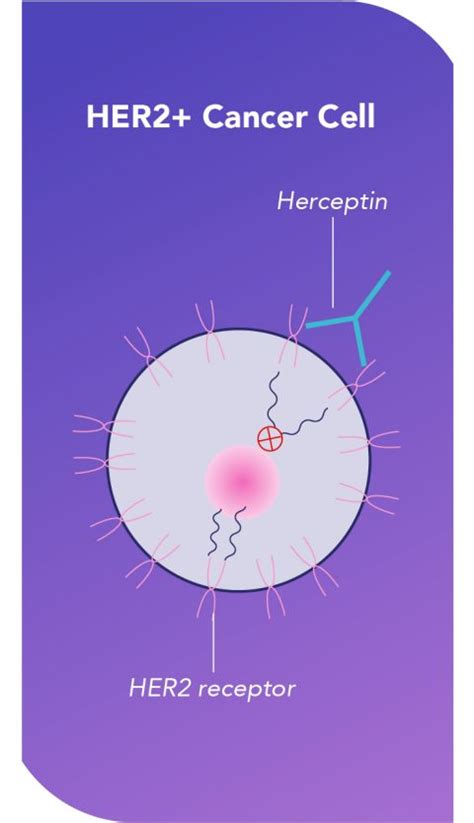 Herceptin Vial