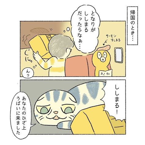 台湾の猫村と日本のししまるの話 渋ネコししまるさん 20ねこのきもちWEB MAGAZINE