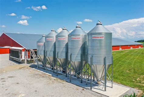 Poultry Feed Bin Storage Silo 100 Ton Poultry Feed Storage Silo