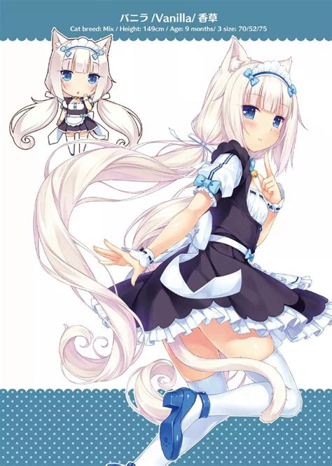 【nekopara】nekopara Art Works Vol2 同人誌 エロ漫画 Momonga（モモンガッ）