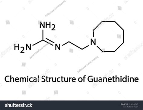Guanethidine Antihypertensive Drug That Reduces Release Stock Vector