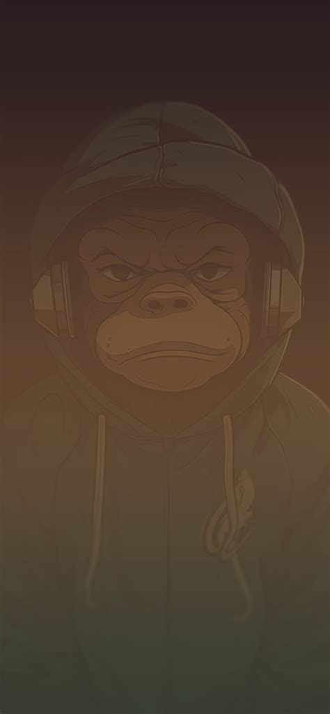 Monkey In Hoodie Brown Wallpapers Monkey Wallpapers Iphone