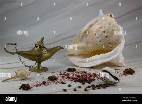 Remembrance Of Egypt Sea Shells Alladins Lamp And Other Egyptian